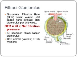 Fisiologi sistem urinaria | PPT
