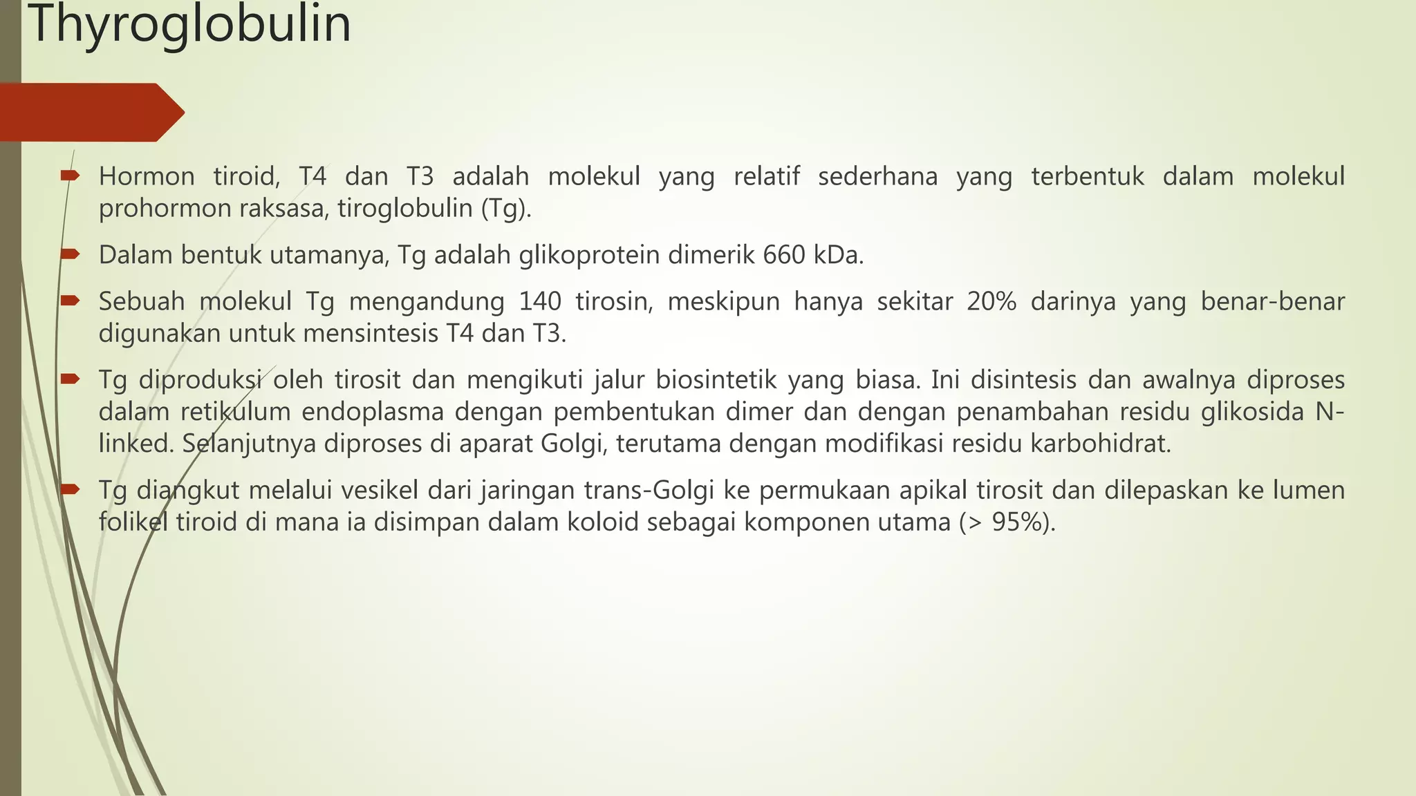 Fisiologi tiroid dan paratioid | PPTX