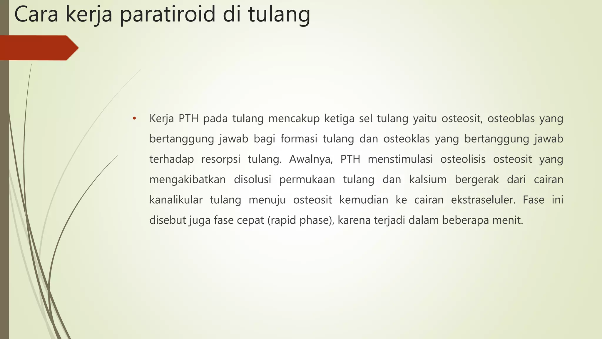 Fisiologi tiroid dan paratioid | PPTX