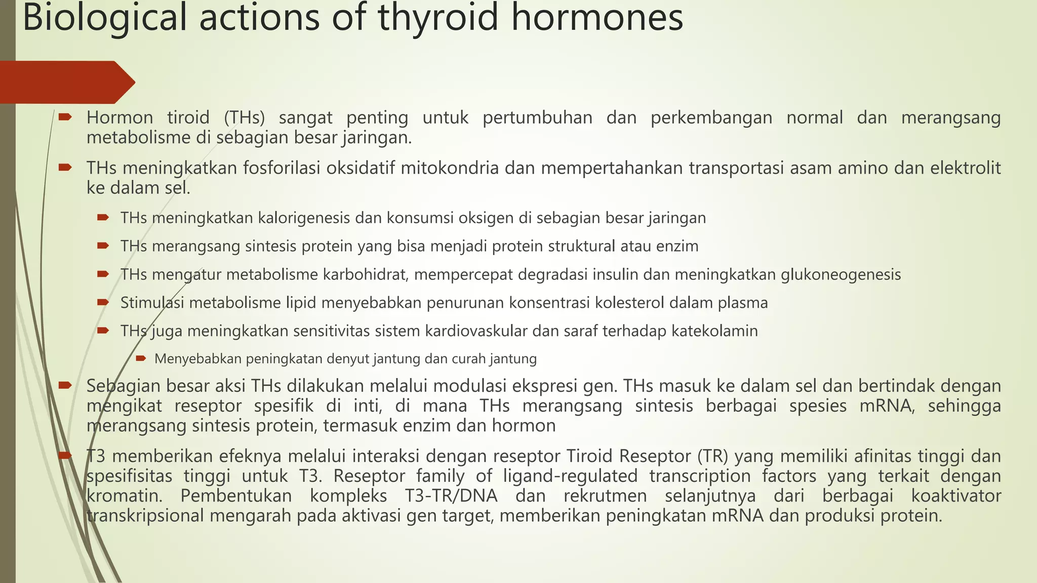 Fisiologi tiroid dan paratioid | PPTX