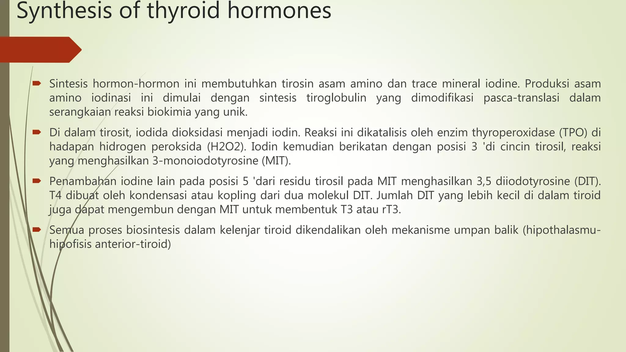 Fisiologi tiroid dan paratioid | PPTX