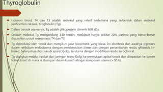 Fisiologi tiroid dan paratioid | PPTX