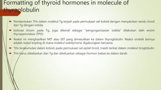 Fisiologi tiroid dan paratioid | PPTX