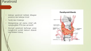 Fisiologi tiroid dan paratioid | PPTX