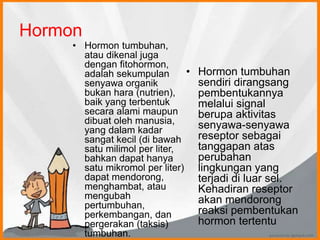 Fisiologi tumbuhan | PPT