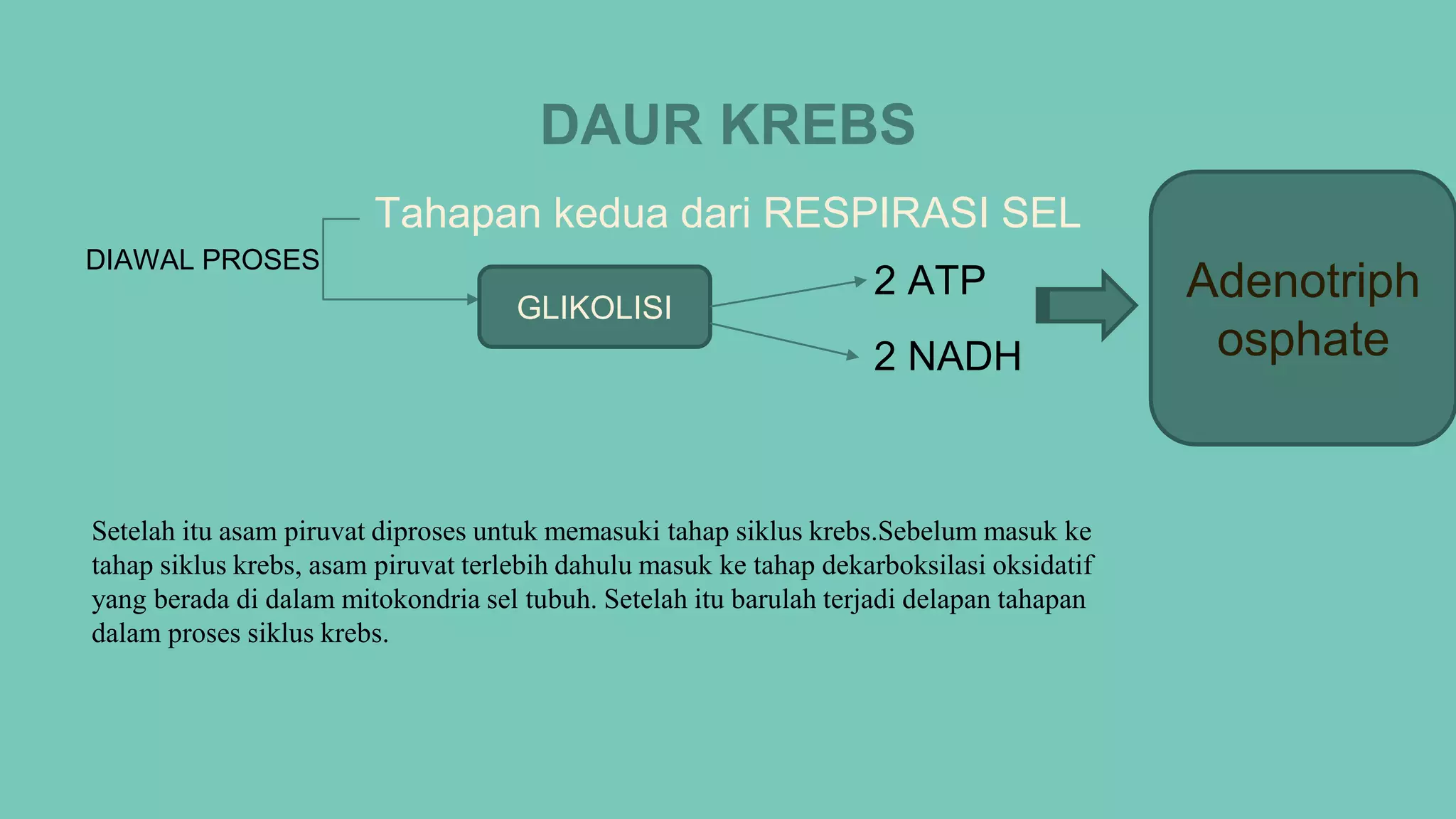 FISIOLOGI TUMBUHAN.pptx