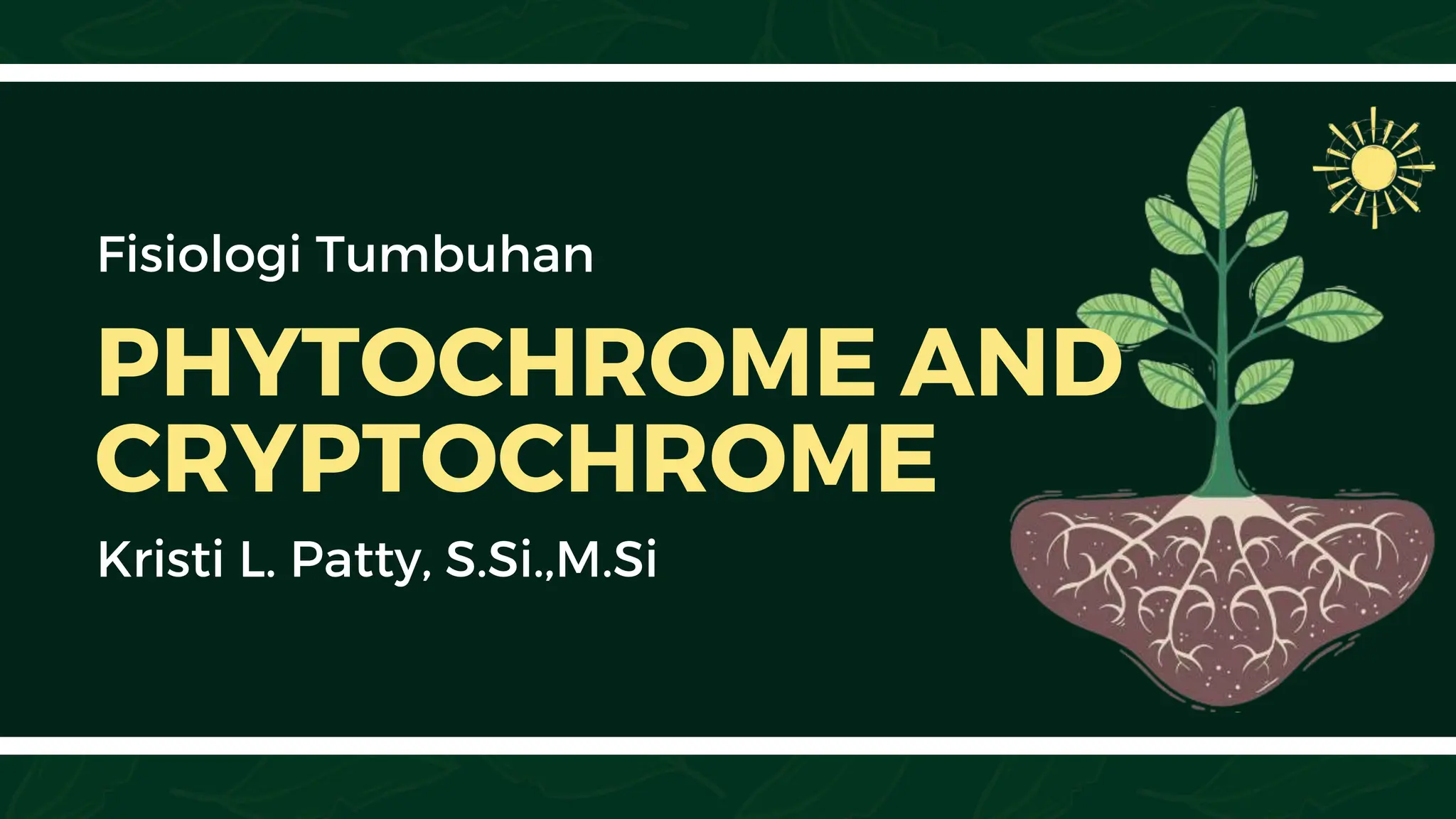 fotomorfogenesis adalah perkembangan yang dimediasi cahaya | PPTX