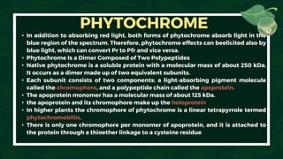fotomorfogenesis adalah perkembangan yang dimediasi cahaya | PPTX