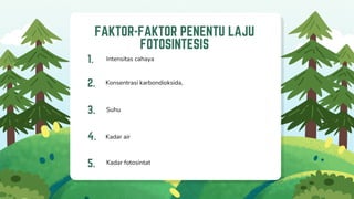 FISIOLOGI TUMBUHAN KONSEP DASAR FOTOSINTESISI, REAKSI TERANG DAN REAKSI ...