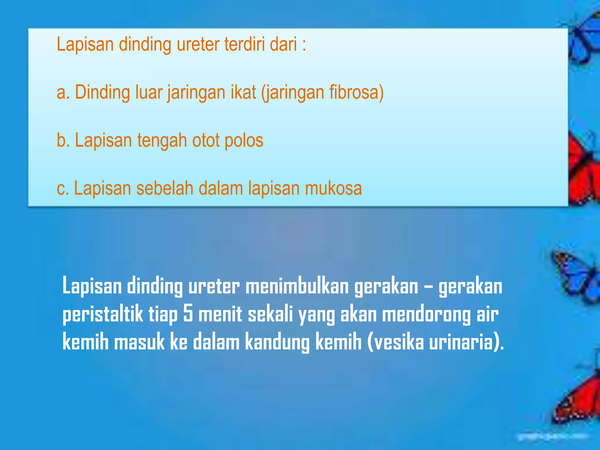 Fisiologi ureter, vesika urinaria, dan uretra | PPTX