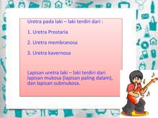 Fisiologi ureter, vesika urinaria, dan uretra | PPTX