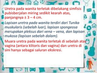 Fisiologi ureter, vesika urinaria, dan uretra | PPTX