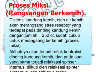Fisiologi ureter, vesika urinaria, dan uretra | PPTX