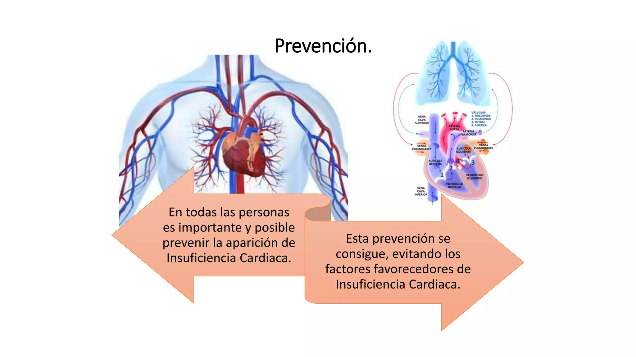 FISIOPATOLOGIA INSUFICIENCIA CARDÍACA, EDEMA PULMONAR Y ESTENOSIS ...