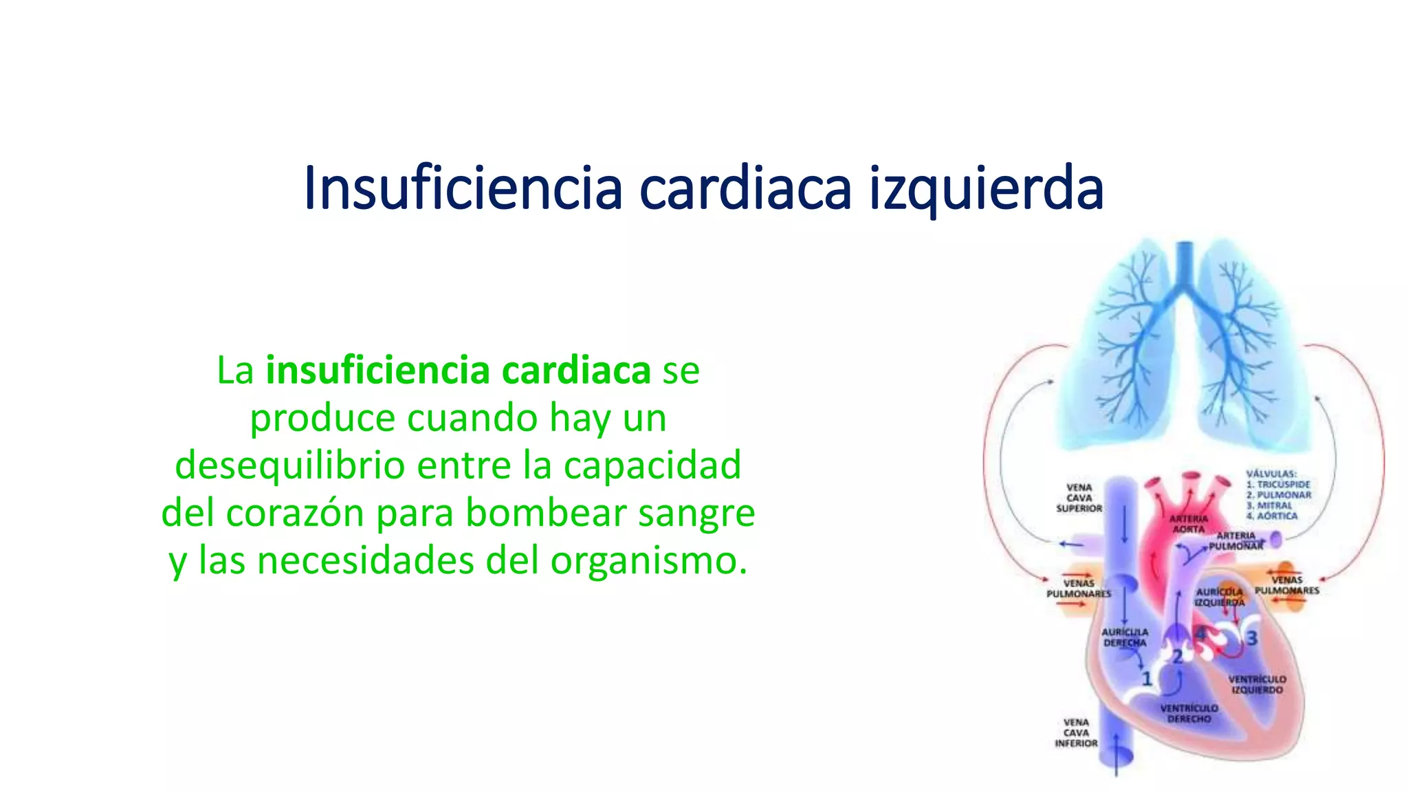 FISIOPATOLOGIA INSUFICIENCIA CARDÍACA, EDEMA PULMONAR Y ESTENOSIS ...