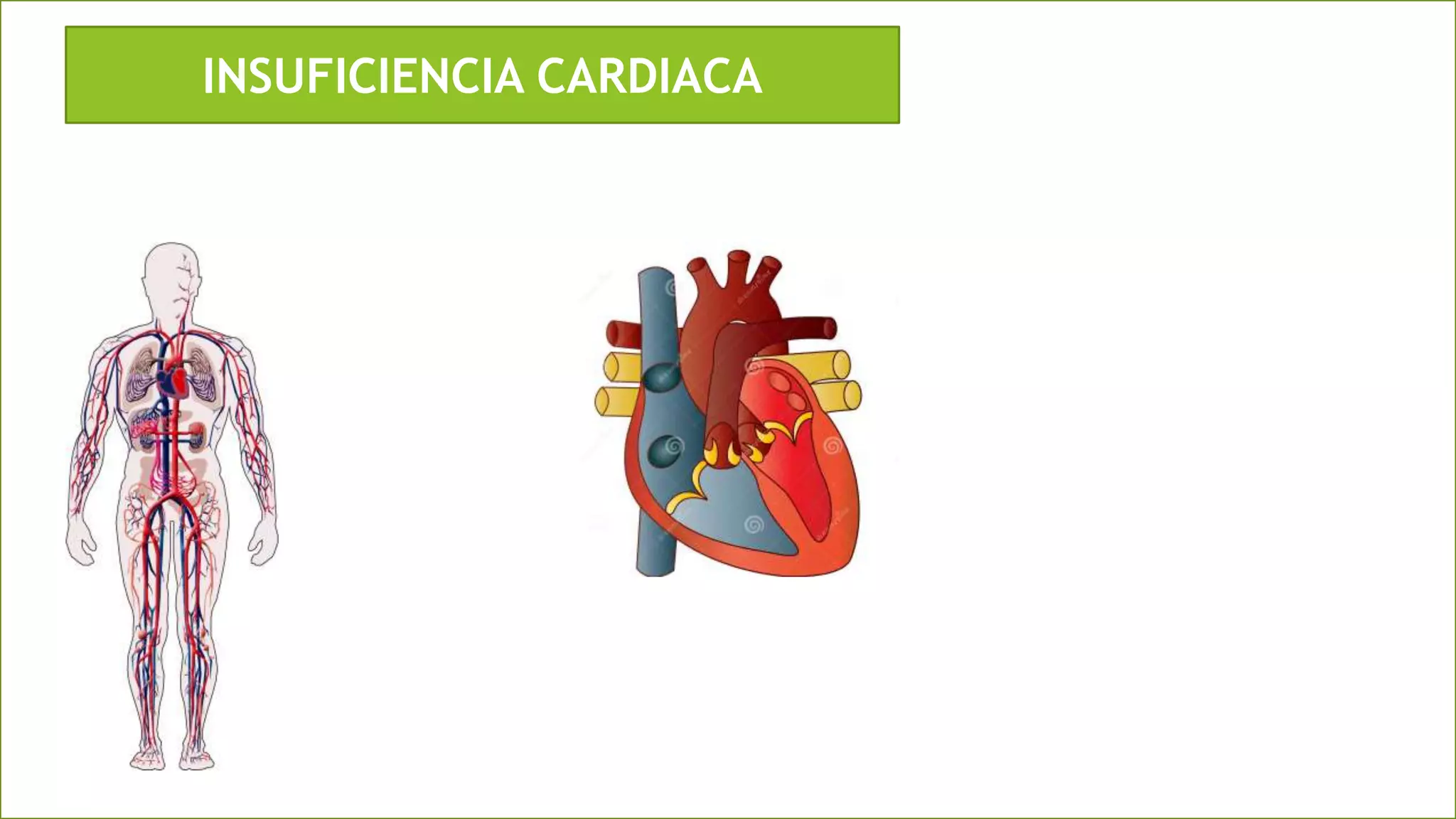 FISIOPATOLOGIA INSUFICIENCIA CARDÍACA, EDEMA PULMONAR Y ESTENOSIS ...