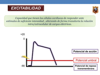 Fisiopatología Arritmias Cardiacas - UNMSM 2024.pptx