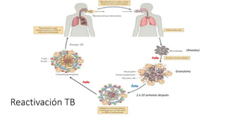 Fisiopatología de la MEC-TB.pptx
