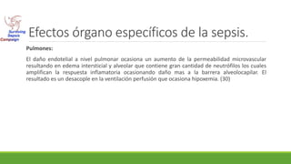Fisiopatología de la sepsis | PPTX