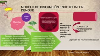 FISIOPATOLOGíA del dengue, fases & clasificación.pptx