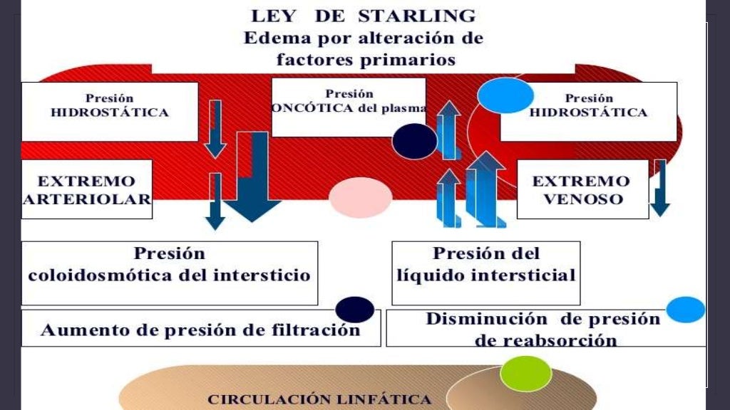 Fisiopatología del edema