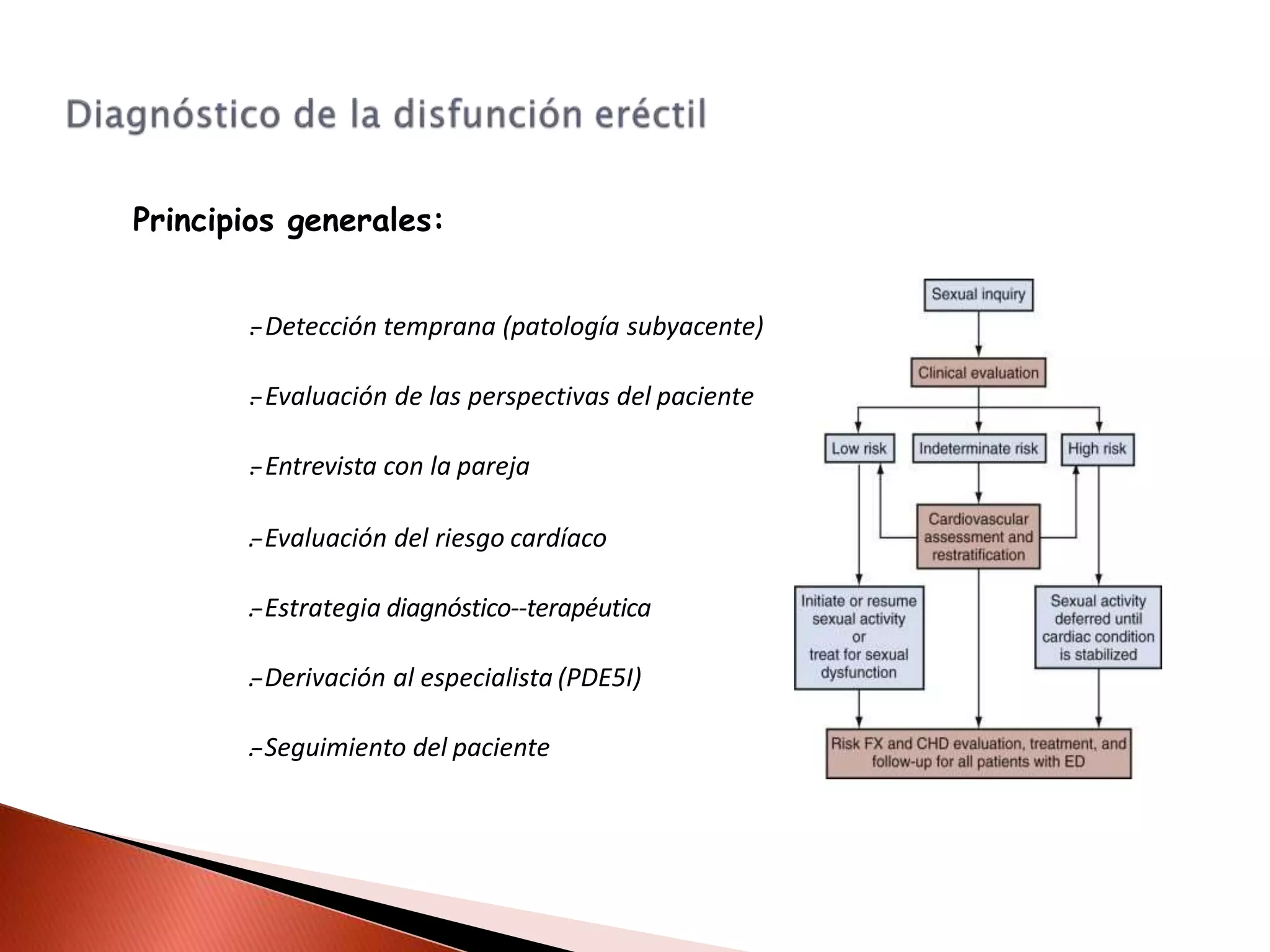 Fisiopatología, diagnóstico y tratamiento de la disfunción erectil ...