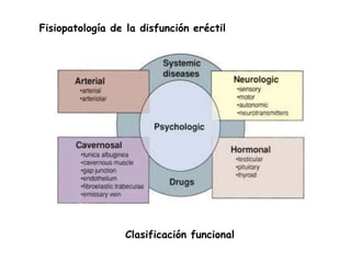 Fisiopatología, diagnóstico y tratamiento de la disfunción erectil | PPTX
