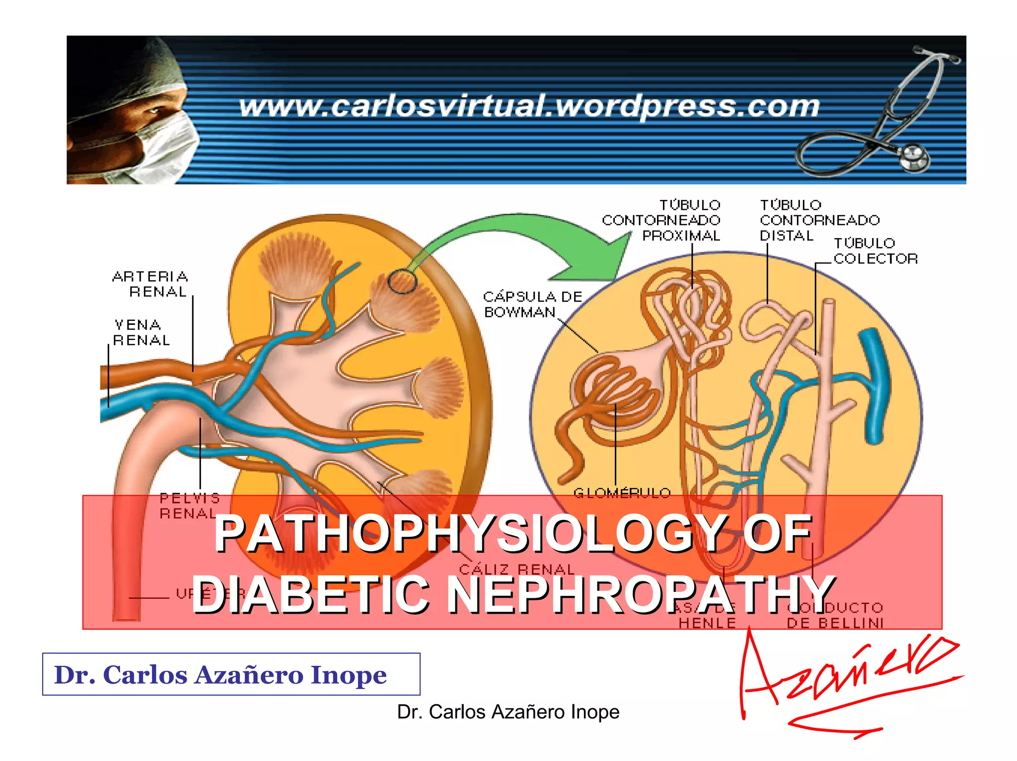 PATHOPHYSIOLOGY OF DIABETIC NEPHROPATHY | PDF