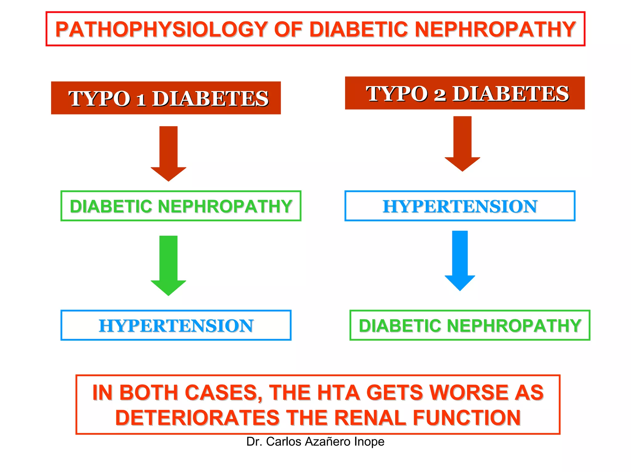 PATHOPHYSIOLOGY OF DIABETIC NEPHROPATHY | PDF