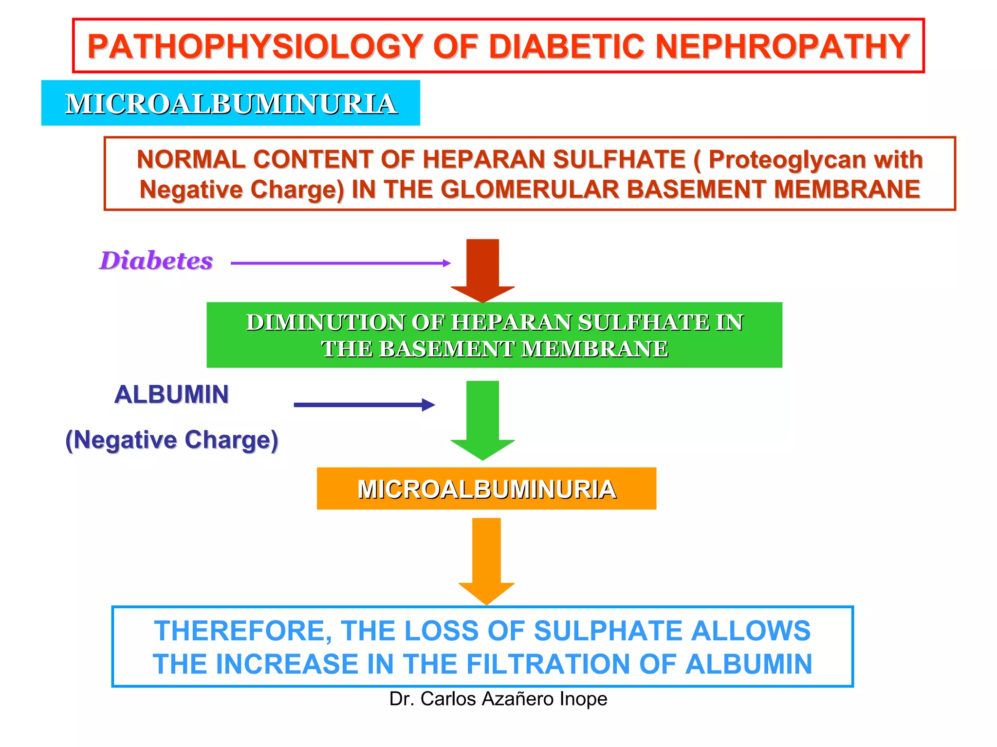 PATHOPHYSIOLOGY OF DIABETIC NEPHROPATHY | PDF