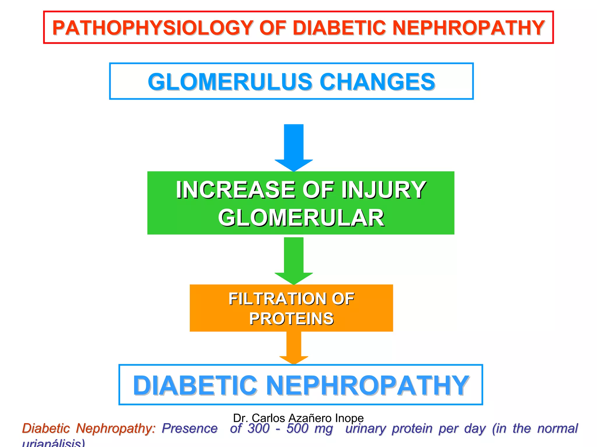 PATHOPHYSIOLOGY OF DIABETIC NEPHROPATHY | PDF