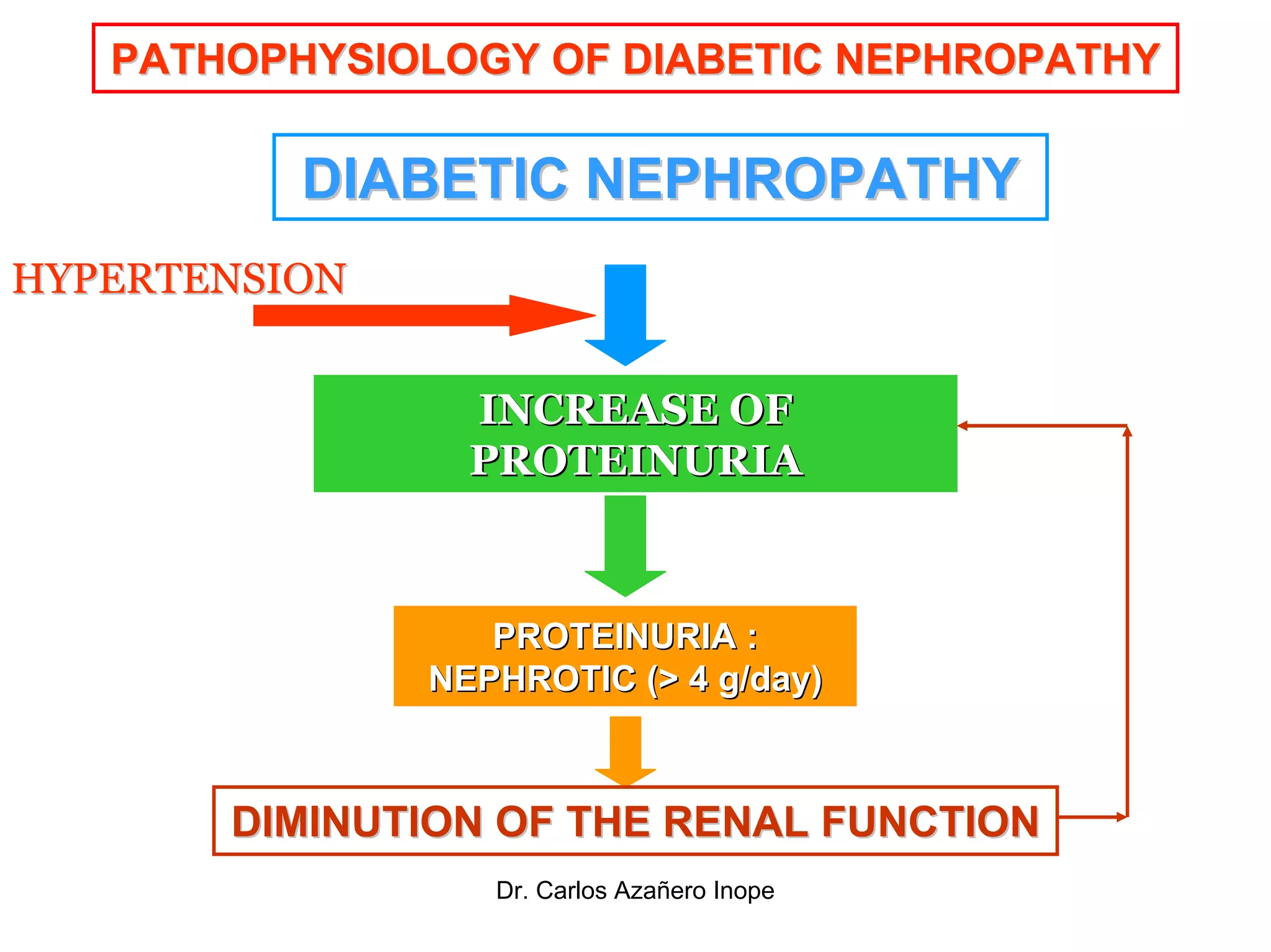 PATHOPHYSIOLOGY OF DIABETIC NEPHROPATHY | PDF