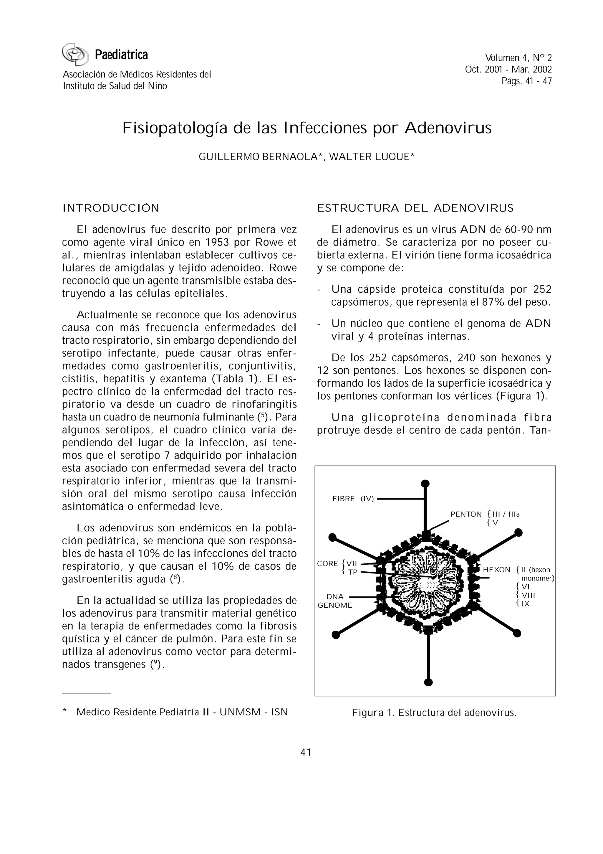 Fisiopatologia adenovirus | PDF