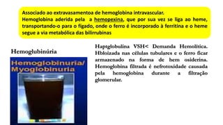 Fisiopatologia Anemia Hemolítica(Pre-Hpatica) | PPTX