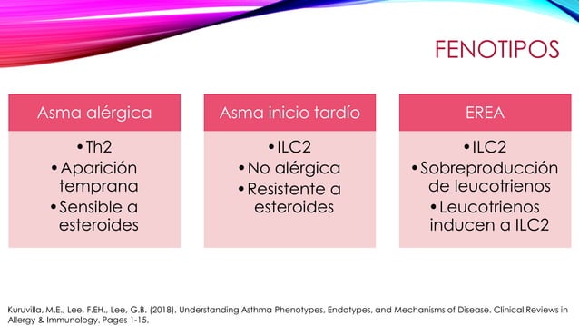 Fisiopatología del asma | PDF