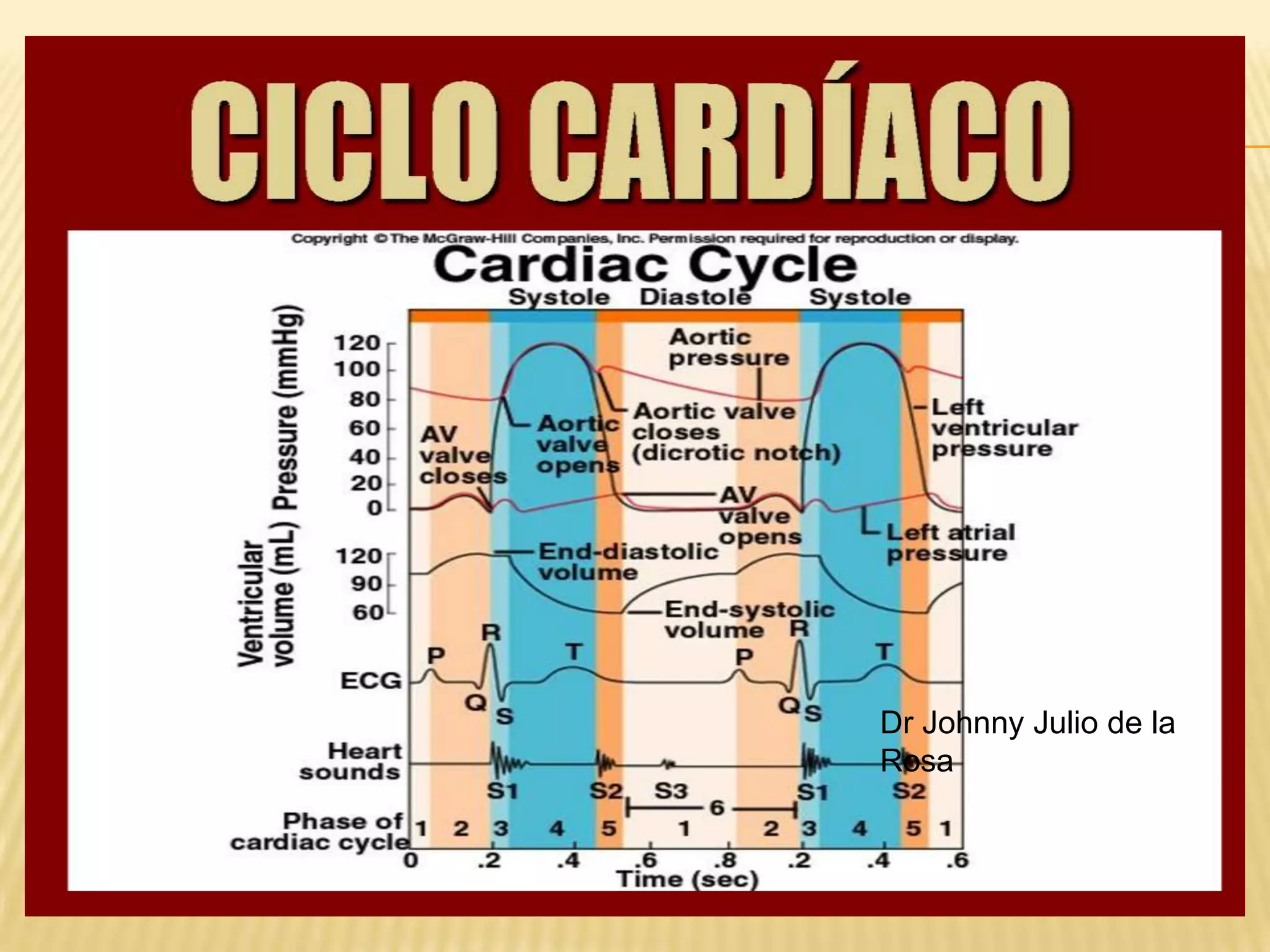 Fisiologia Cardiaca - Generalidades y Ciclo Cardiaco | PPTX