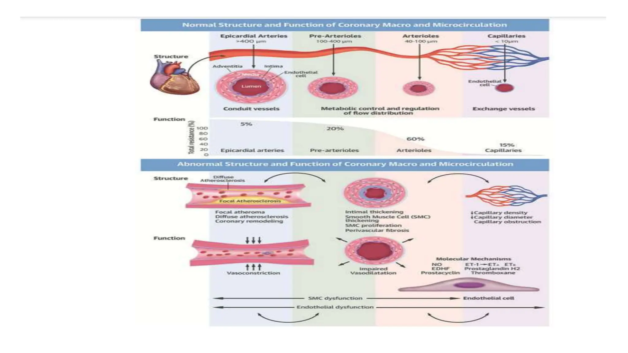 patologia y fisiopatología del Infarto Agudo de Miocardio | PPTX