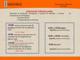 FISIOPATOLOGIA DE LA ANEMIA DR. LUJAN UNFV | PDF