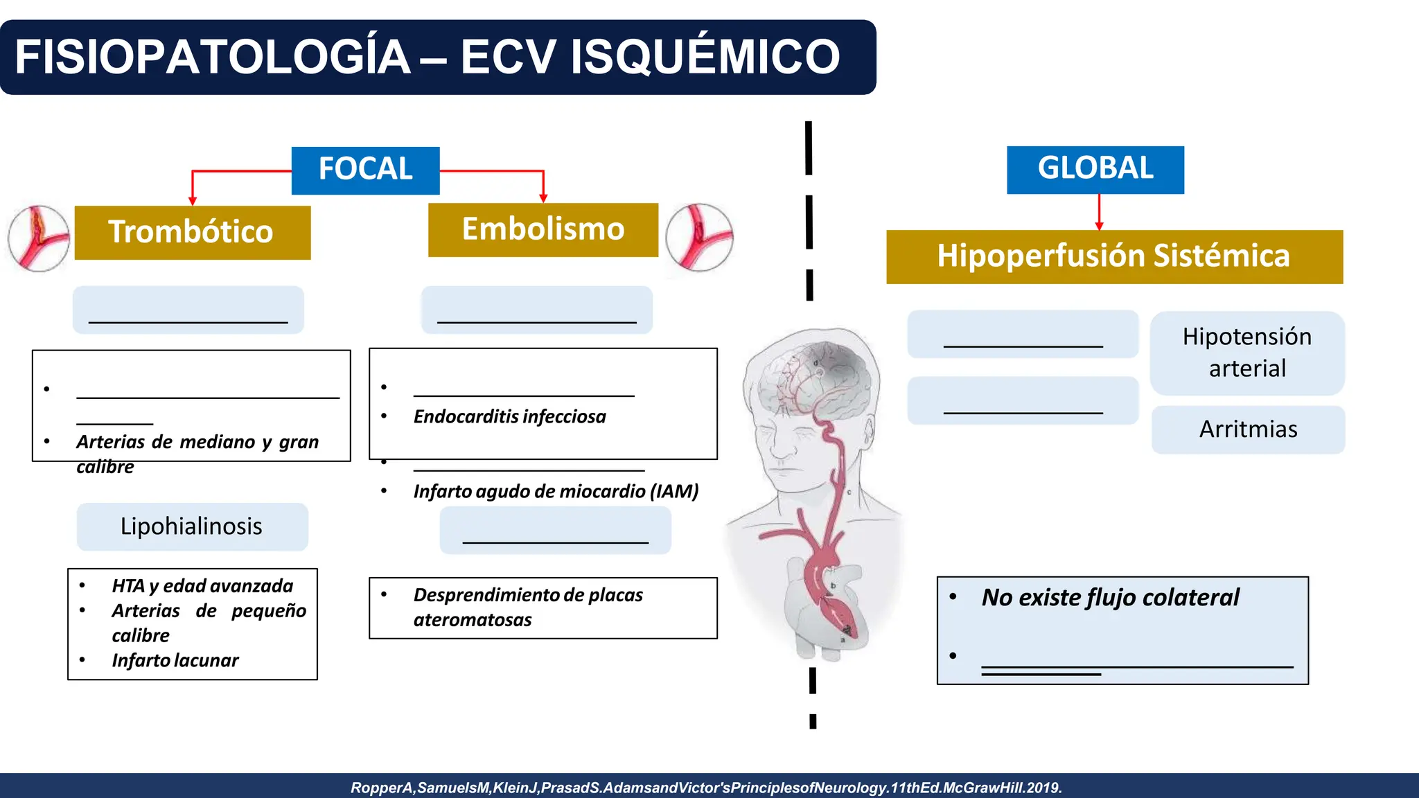 FISIOPATOLOGIA DEL ACV ISQUEMICO Y HERMORRAGICO | PPTX | Brain and ...