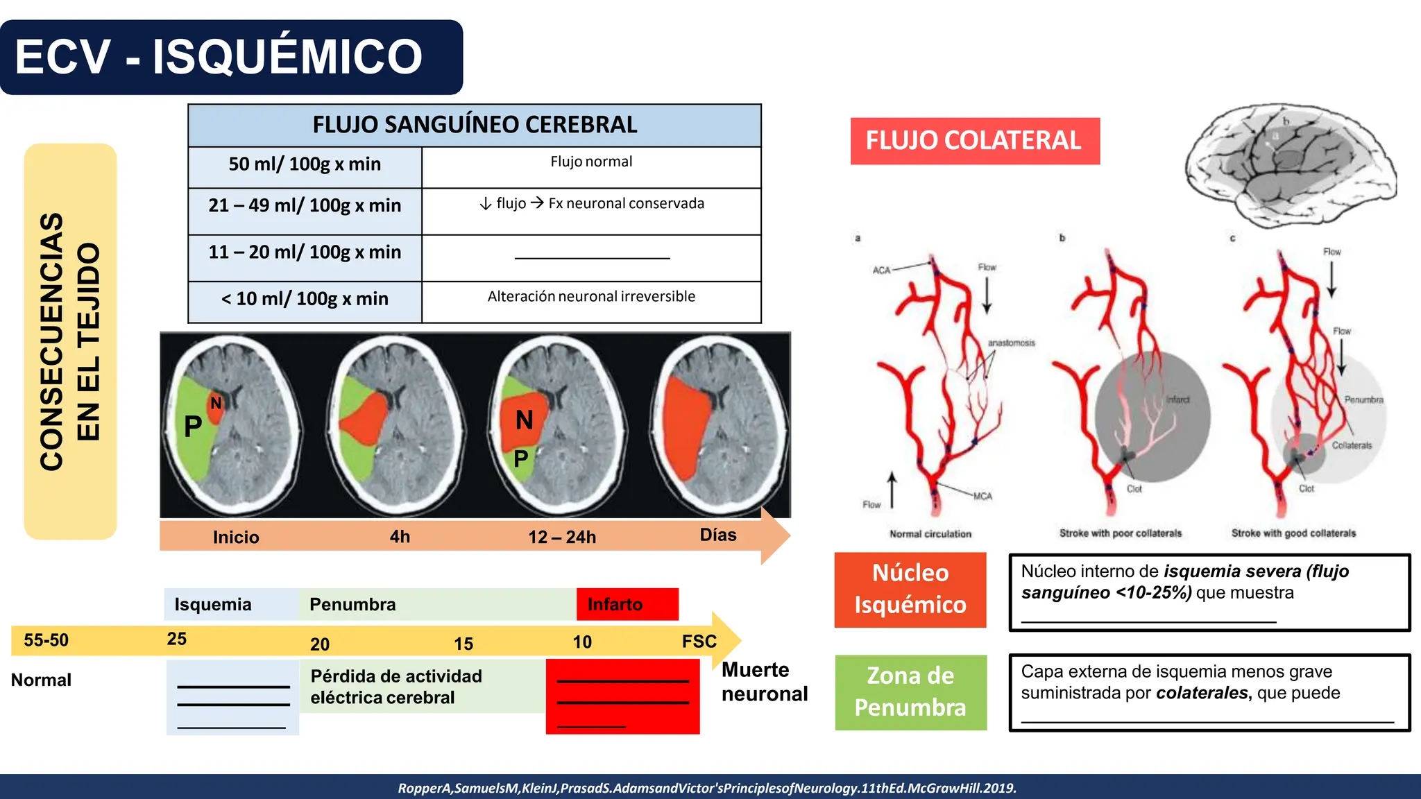 FISIOPATOLOGIA DEL ACV ISQUEMICO Y HERMORRAGICO | PPTX | Brain and ...