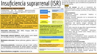 Fisiopatología de la glándula suprarrenal.pdf