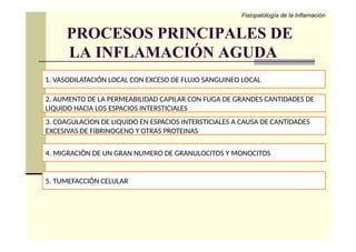 Fisiopatologia_de_la_inflamacion.pptx... | PPTX
