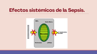 FISIOPATOLOGIA DE LA SEPSIS LASTRES MENESES JAIR ALEXANDRE.pdf