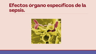 FISIOPATOLOGIA DE LA SEPSIS LASTRES MENESES JAIR ALEXANDRE.pdf