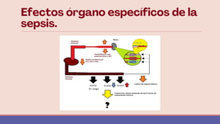 FISIOPATOLOGIA DE LA SEPSIS LASTRES MENESES JAIR ALEXANDRE.pdf