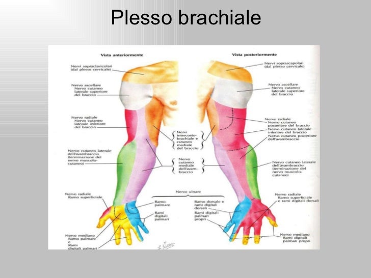 Fisiopatologia del danno da malposizionamento 2