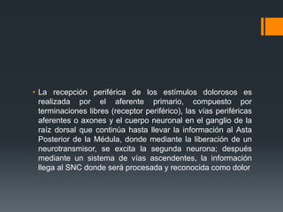FISIOPATOLOGIA DEL DOLOR.ppt