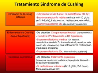 Fisiopatologia del sd de cushing | PPTX