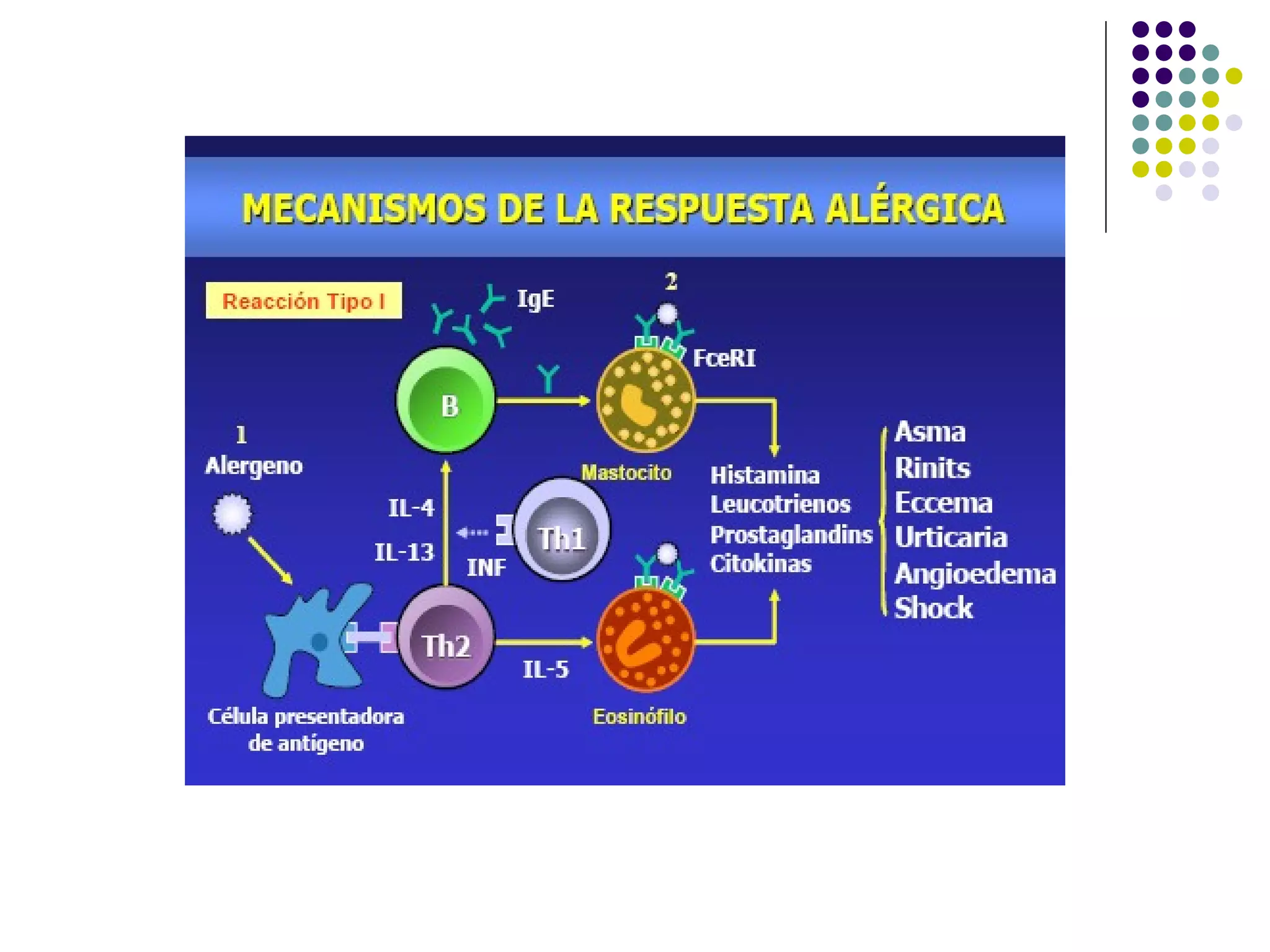 Fisiopatologia Del Shock | PPT