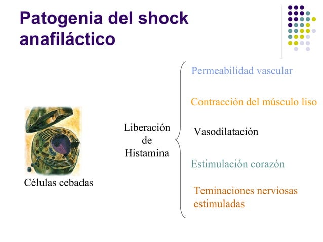 Fisiopatologia Del Shock | PPT